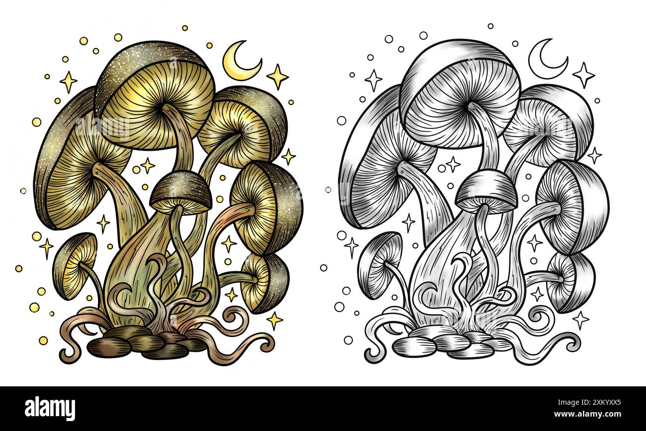 Celestial mystic mushrooms with magic and floral decorative design ...