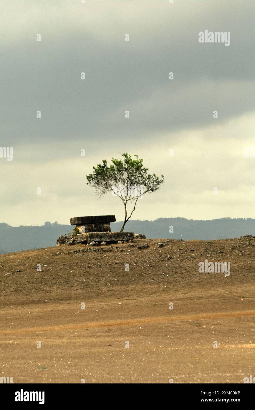A megalithic tomb below a tree on Hoba Kalla field in Patiala Bawa ...