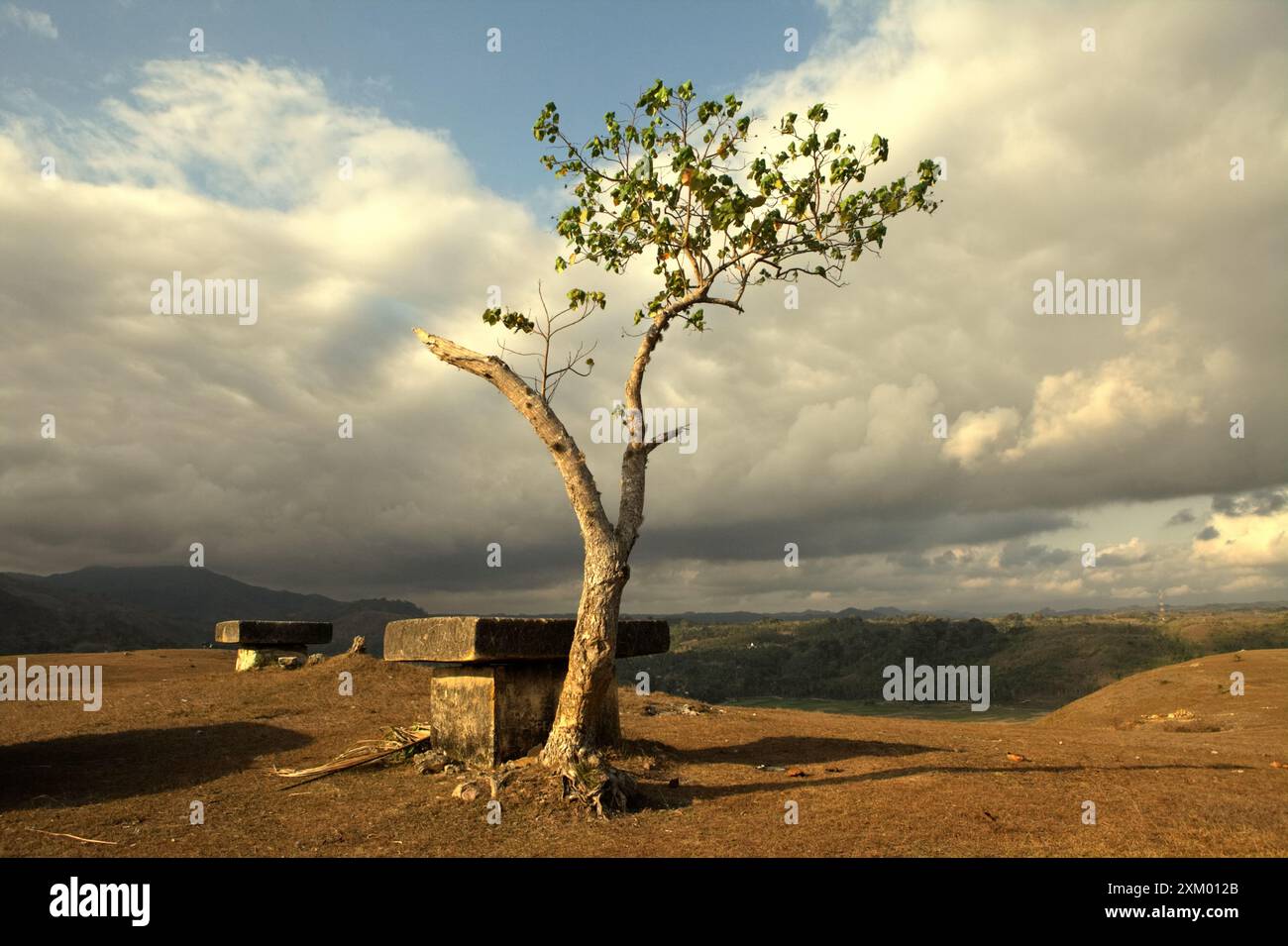 A megalithic tomb below a tree on Hoba Kalla field in Patiala Bawa ...