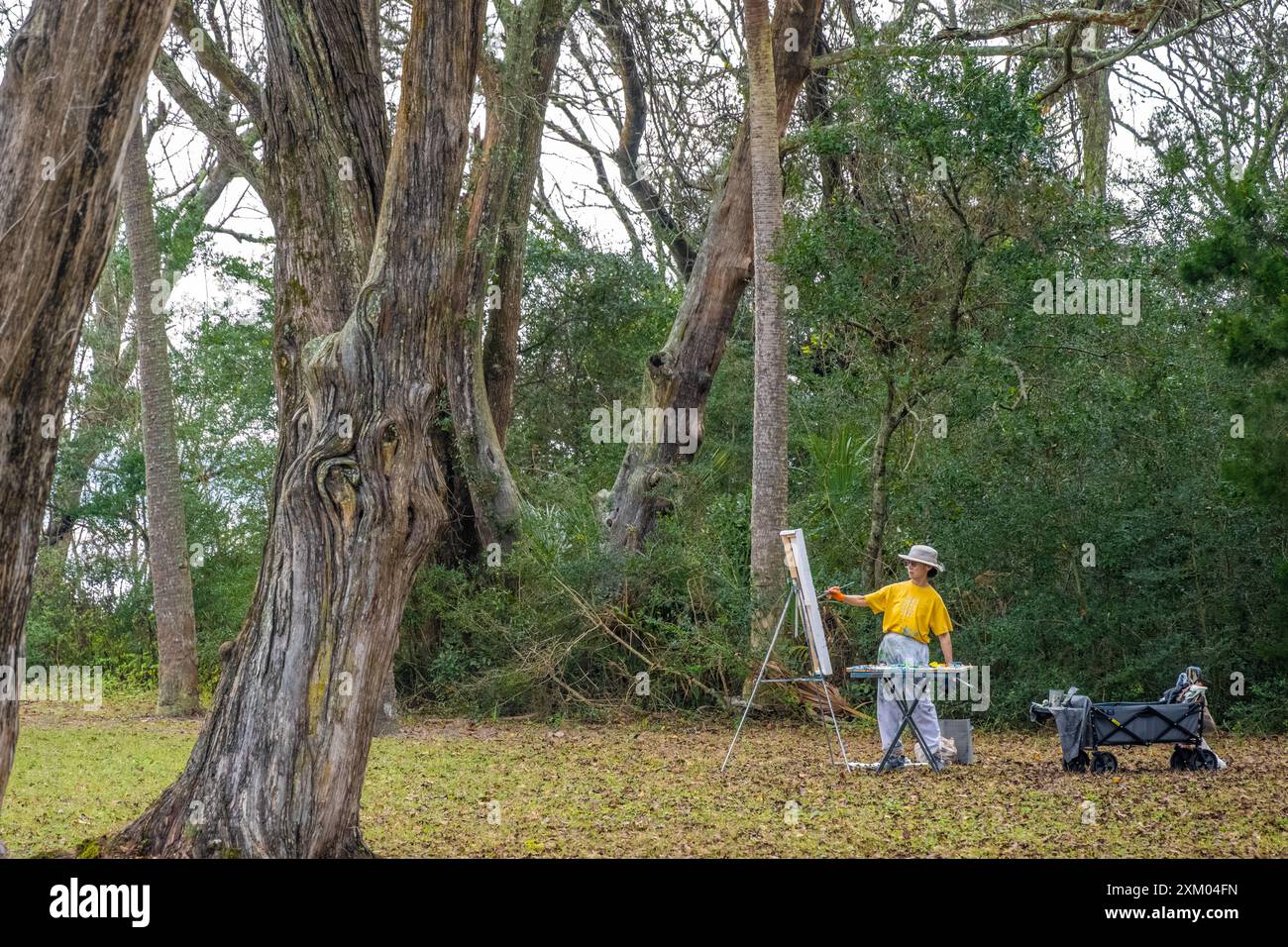 Plein air painter on the grounds of Kingsley Plantation along the tidal salt marsh of the Fort ...