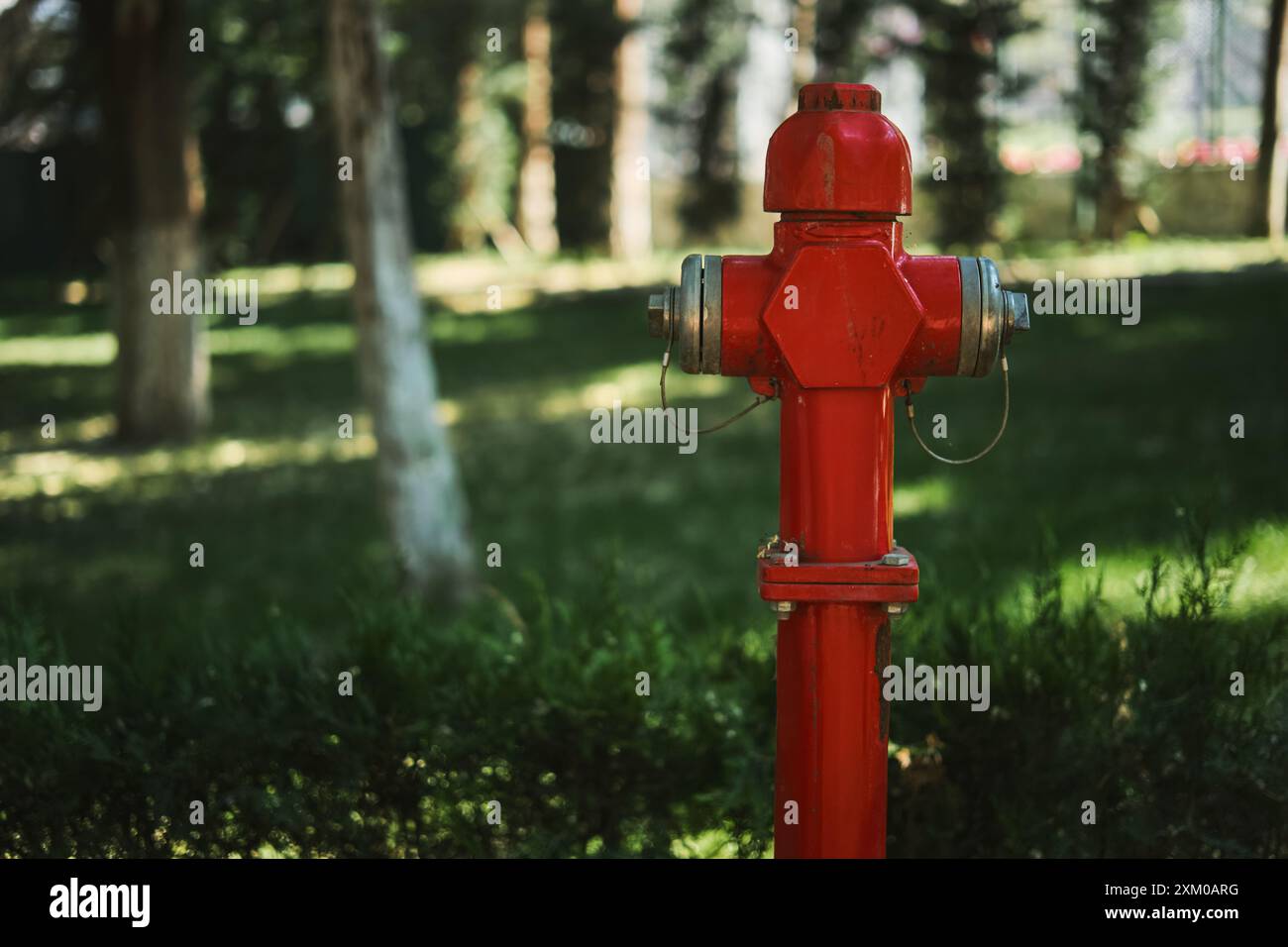 Fire hydrant in the park, the concept of maintaining regular parks and ...