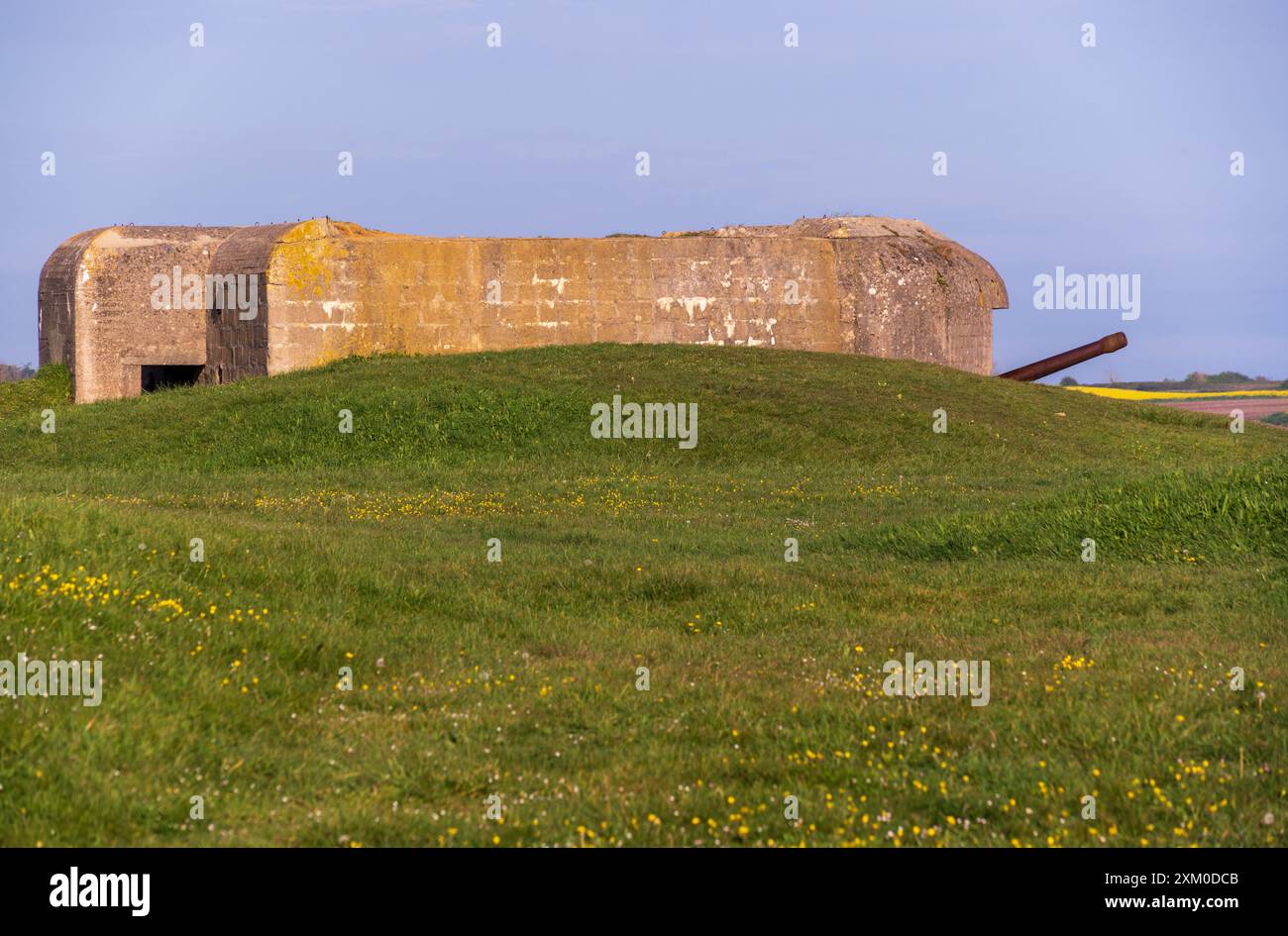 The Longues-sur-Mer battery, World War II Artillery in France Stock ...
