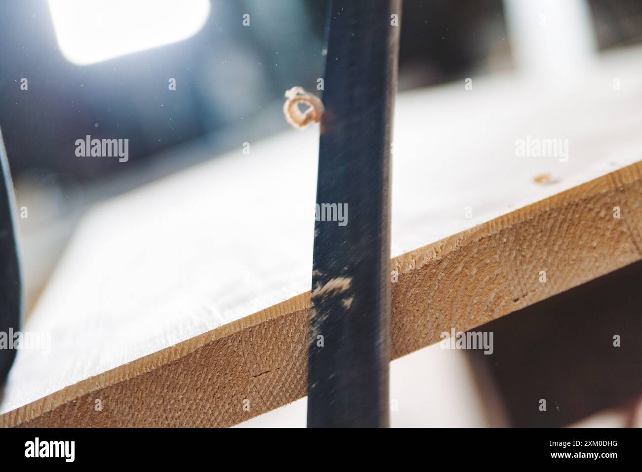 Wood shavings curling from a plank of lumber as a carpenter uses a hand ...