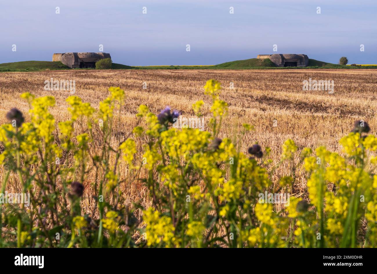 The Longues-sur-Mer battery, World War II Artillery in France Stock ...