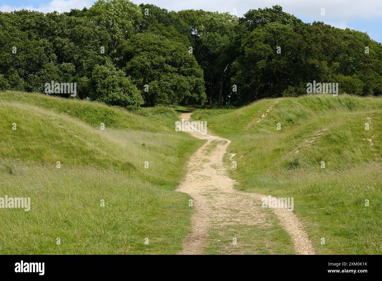 Trackway running through the iron age hillfort at Badbury Rings, Dorset ...