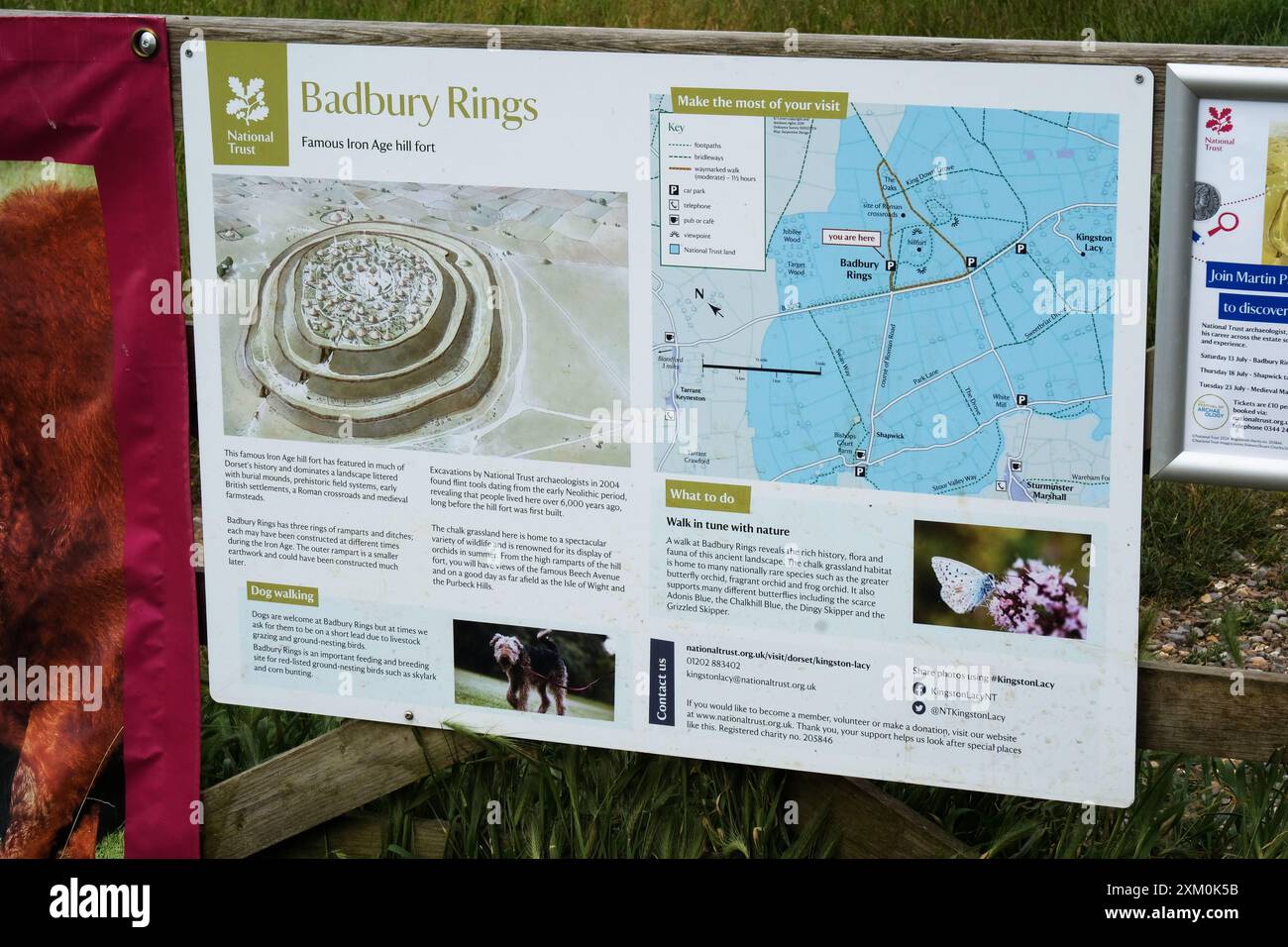 Interpretation board at Badbury Rings, Dorset, UK - John Gollop Stock ...