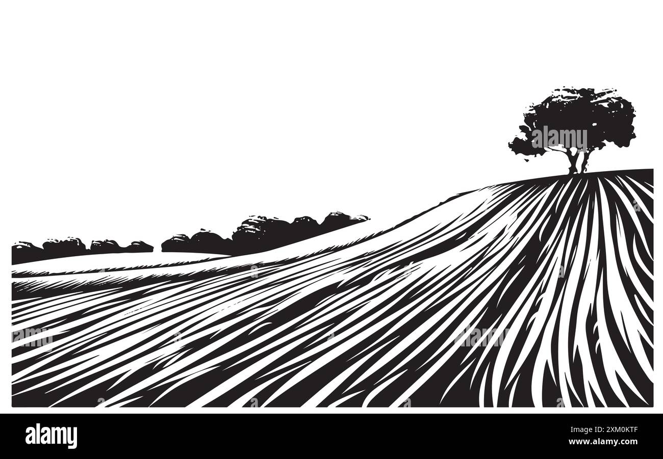 Vineyard landscape vector sketch design. Hand drawn illustration Stock ...