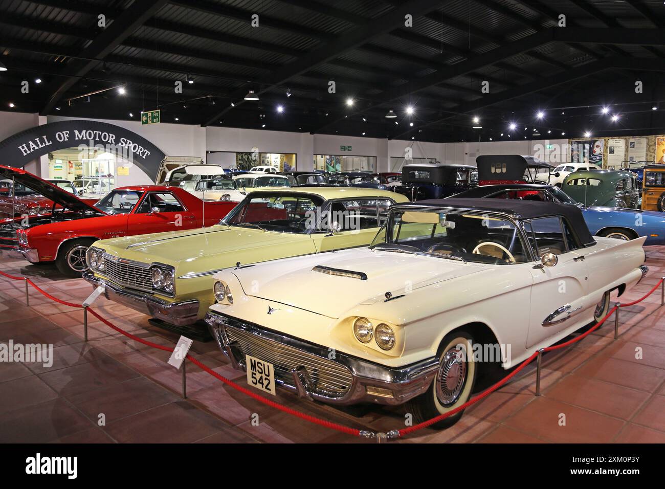 Chevrolet Impala (1964) and Ford Thunderbird (1958), The American Dream ...