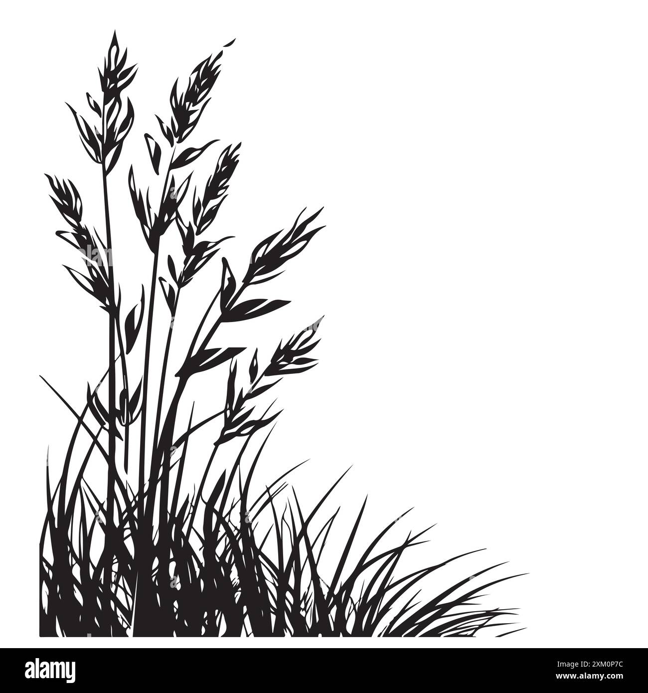 doodle grass illustration hand drawn style Stock Vector Image & Art - Alamy