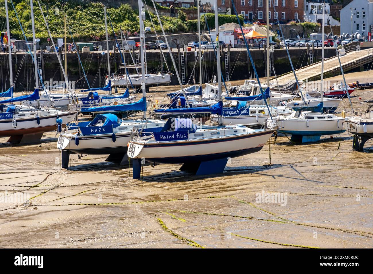 . View across the harbour and waterfront at low tide in the seaside ...