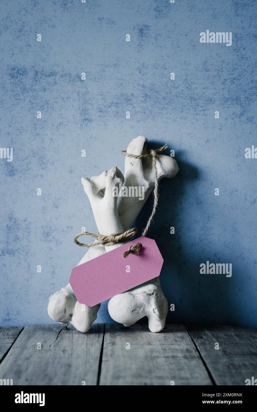 Animal bones shelf hi-res stock photography and images - Alamy