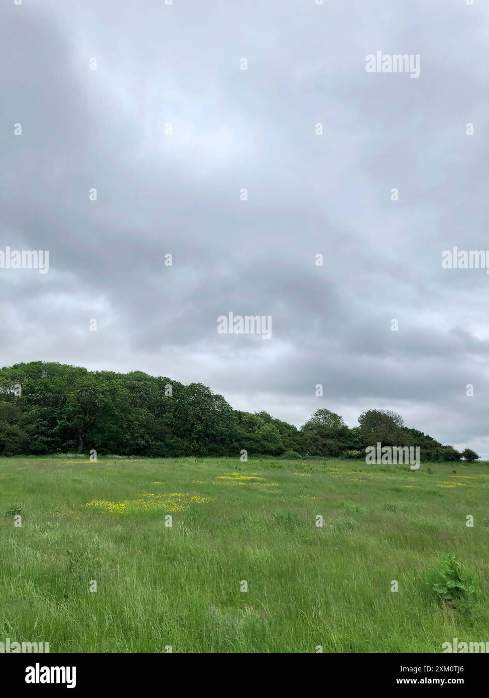 Business england meadow hi-res stock photography and images - Alamy