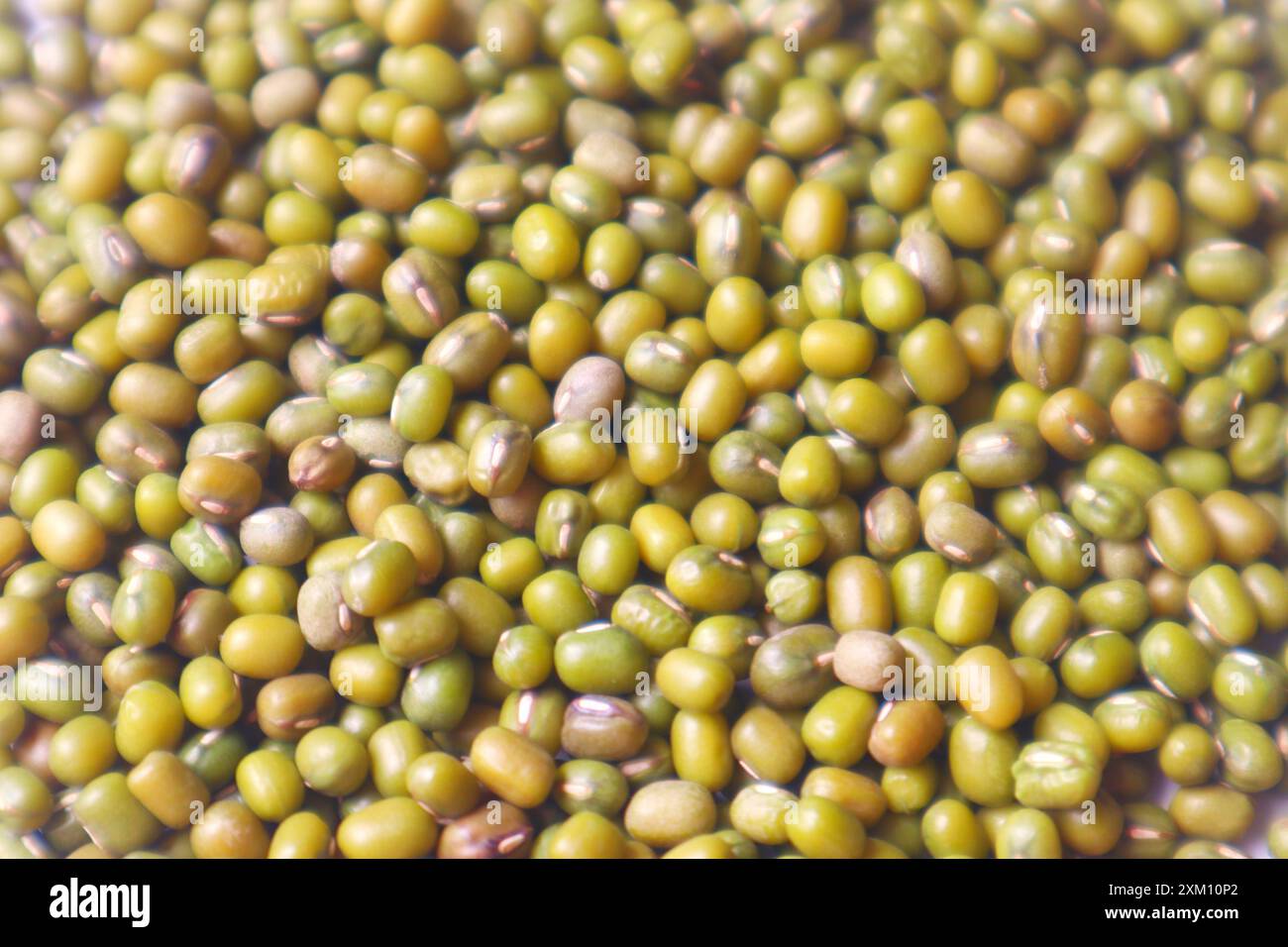 Close view whole bean hi-res stock photography and images - Alamy