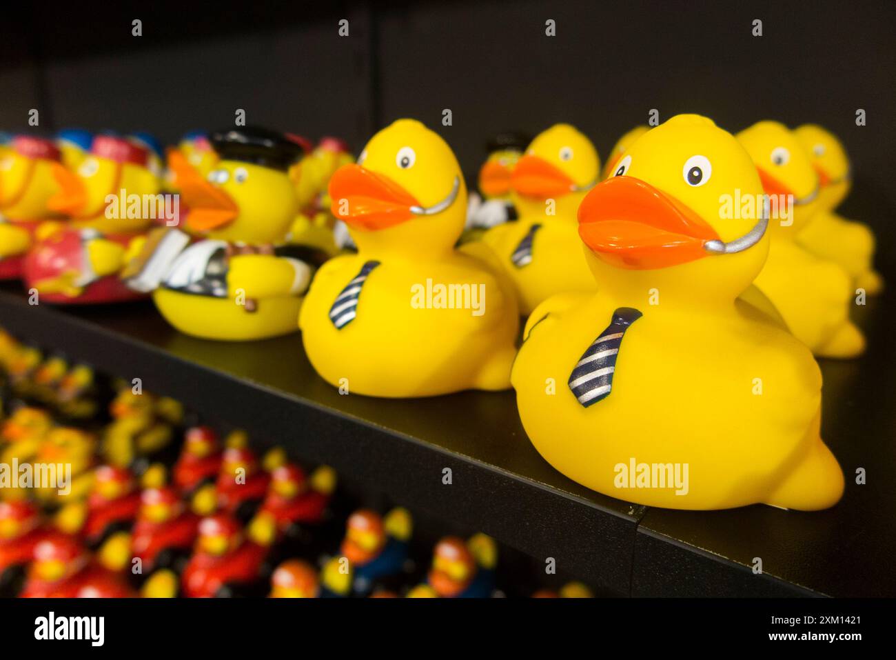 Rubber Duck display in a shop specialising in a full range of rubber ...