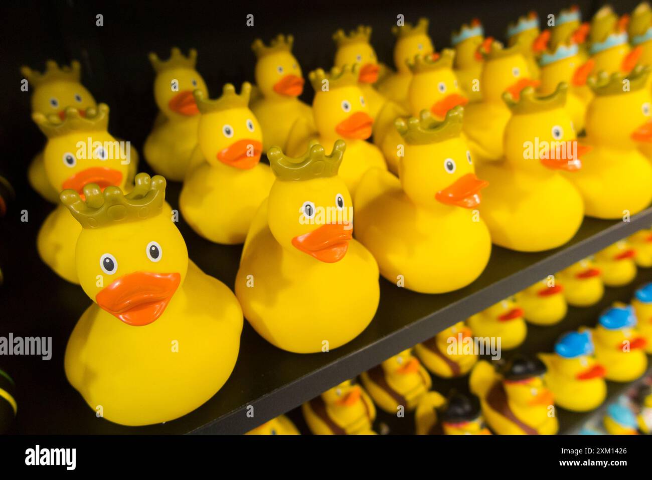 Rubber Duck display in a shop specialising in a full range of rubber ...