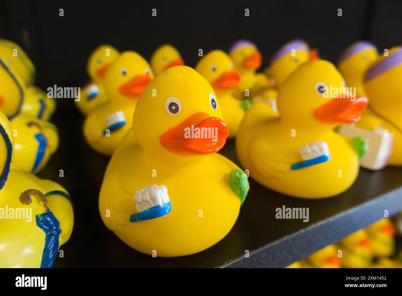 Rubber Duck display in a shop specialising in a full range of rubber ...