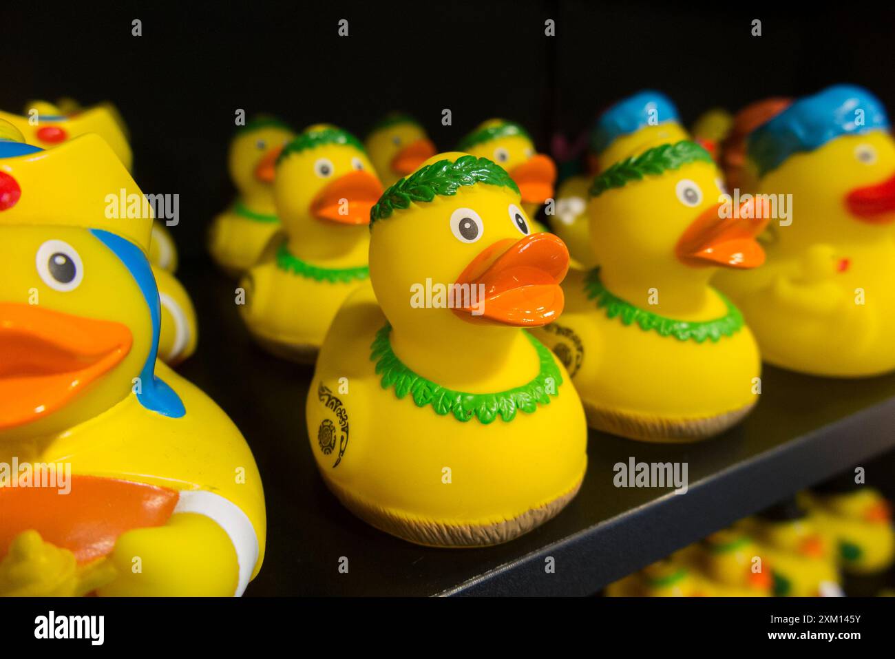 Rubber Duck display in a shop specialising in a full range of rubber ...