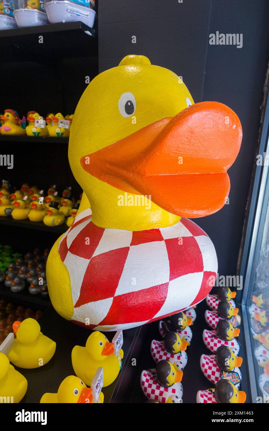 Rubber Duck painted in Croatia / Croatian flag costume display in a ...