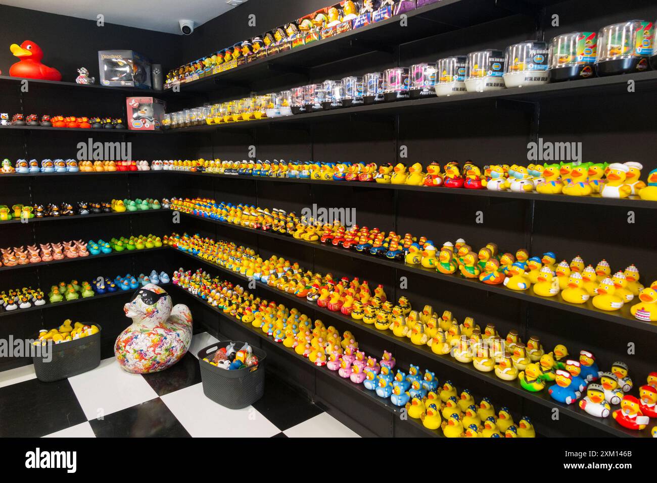 Rubber Duck display in a shop specialising in a full range of rubber ...