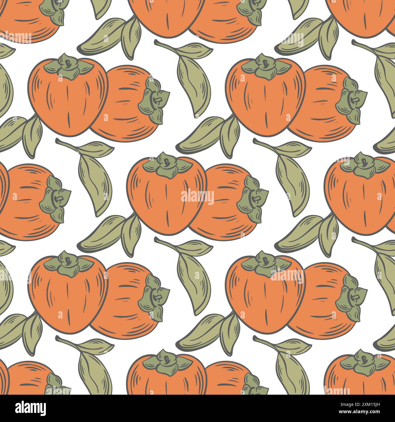 Persimmon fruit hand drawn Stock Vector Images - Alamy