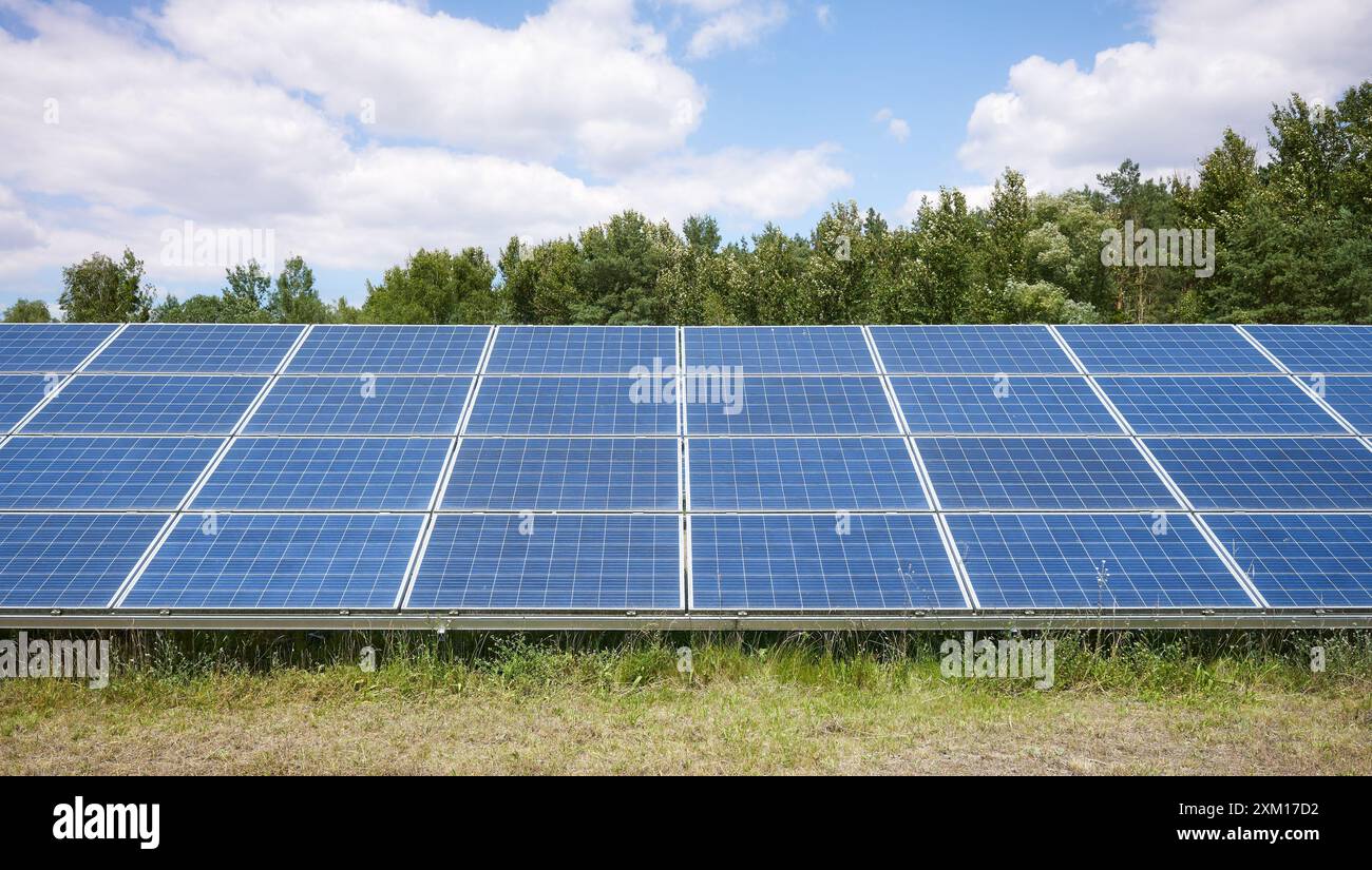 Alternative energy field photovoltaic panels hi-res stock photography ...
