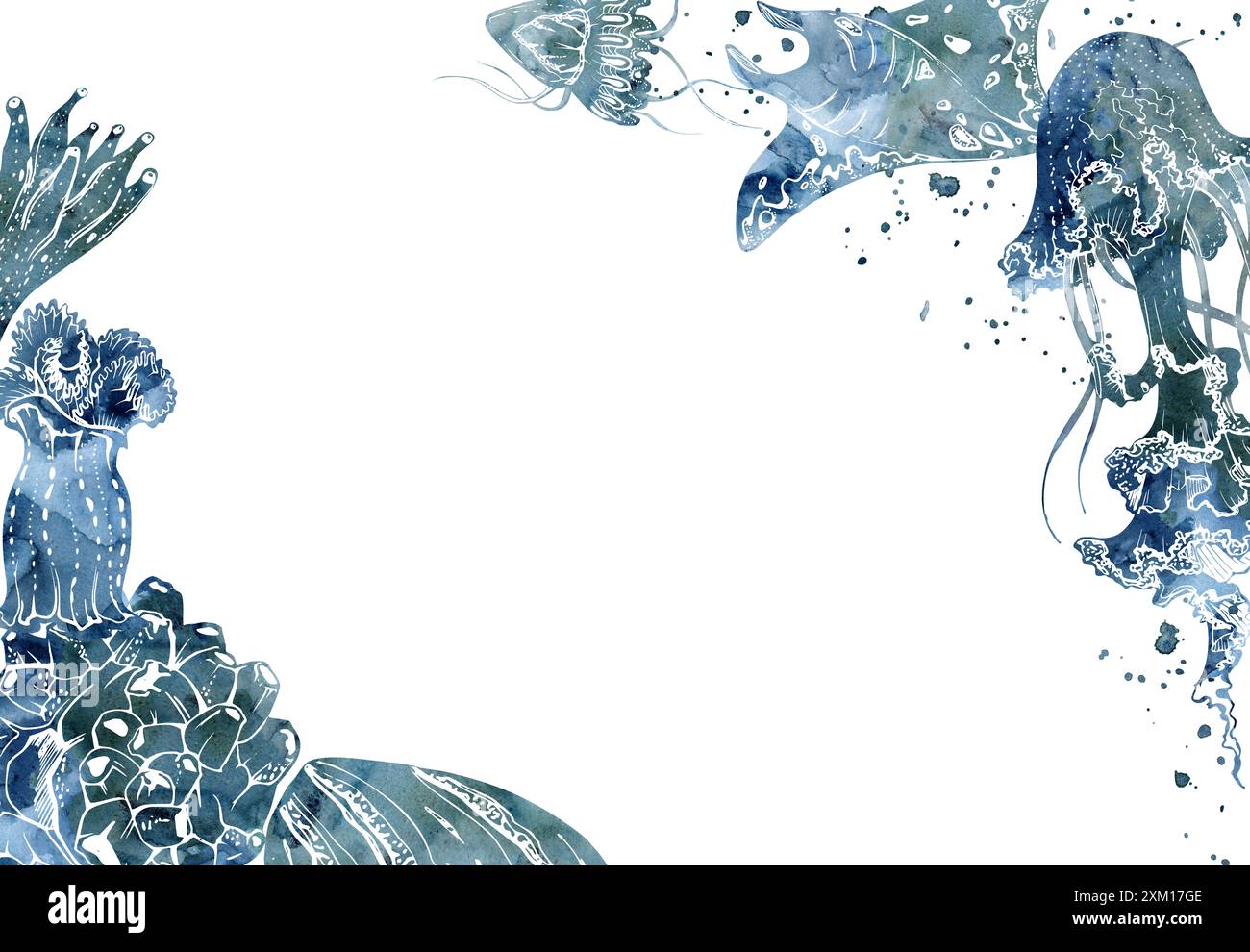 Watercolor and ink hand drawn marine life, sea ocean underwater ...