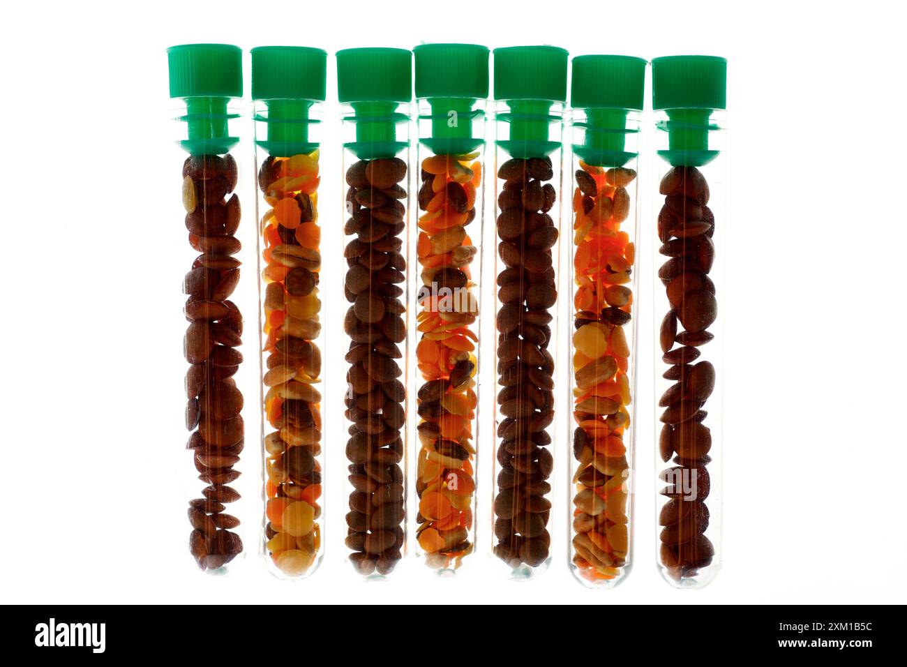 Laboratory glassware genetically modified Cut Out Stock Images ...