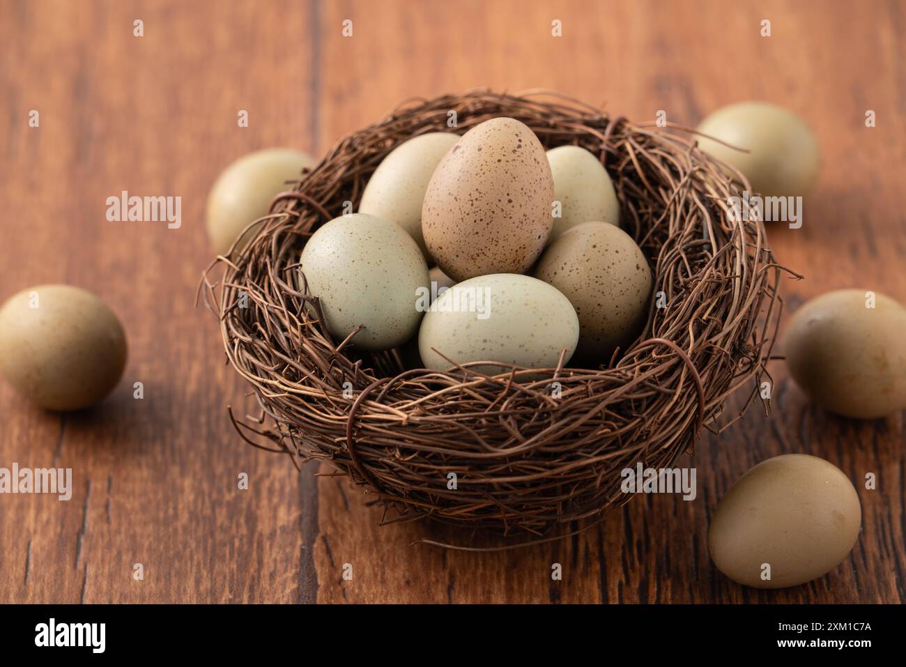 Fresh button quail eggs in a nest on wooden table background Stock ...