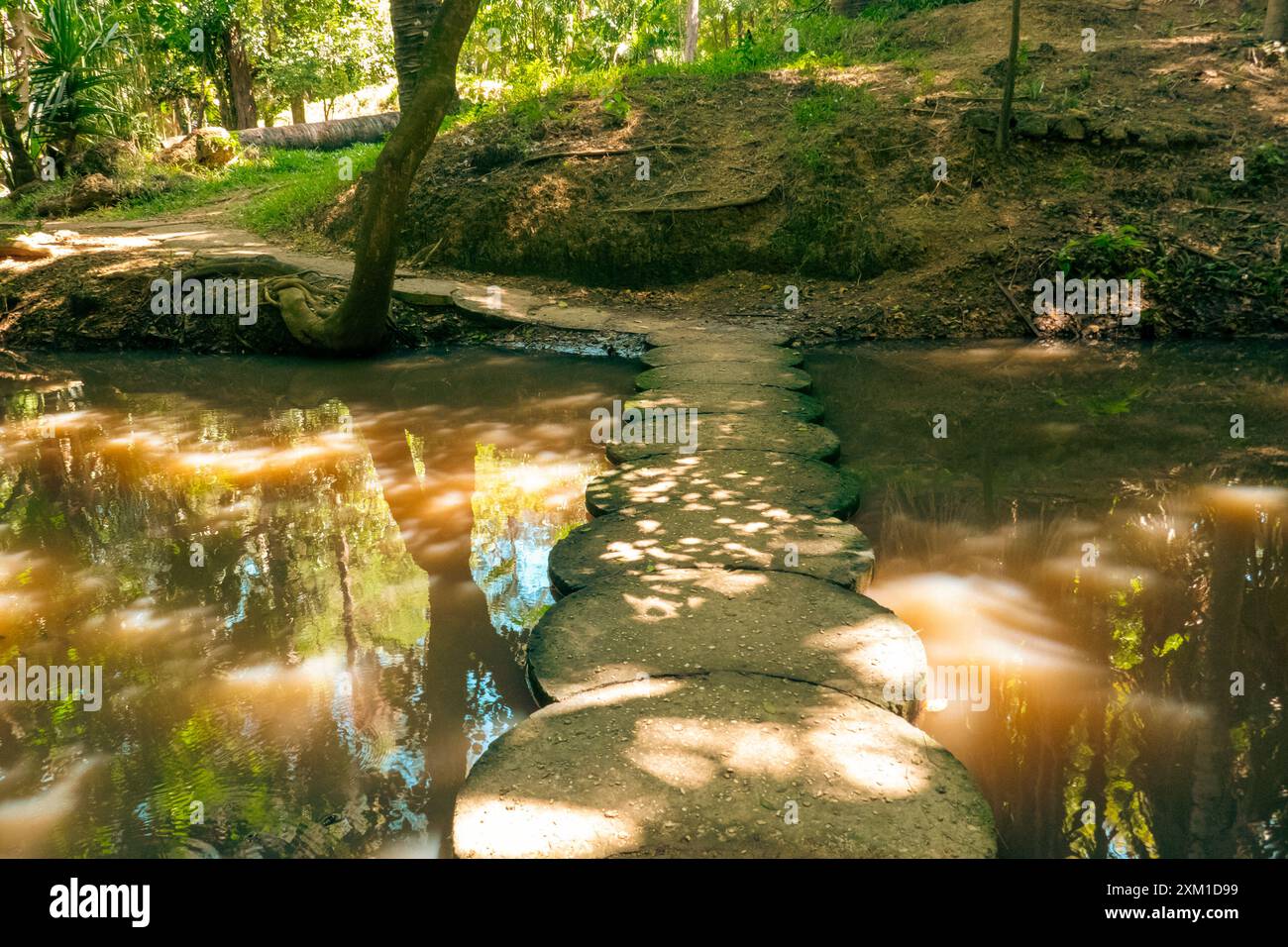 An old hiking trail with an abandoned concrete gate in the wild at ...