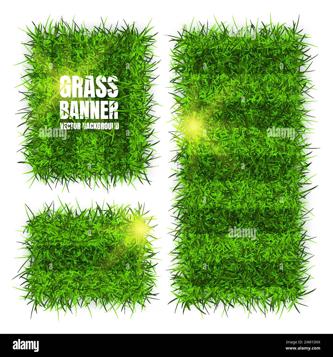 Green grass banners, background. Field, meadow texture, grassy ...