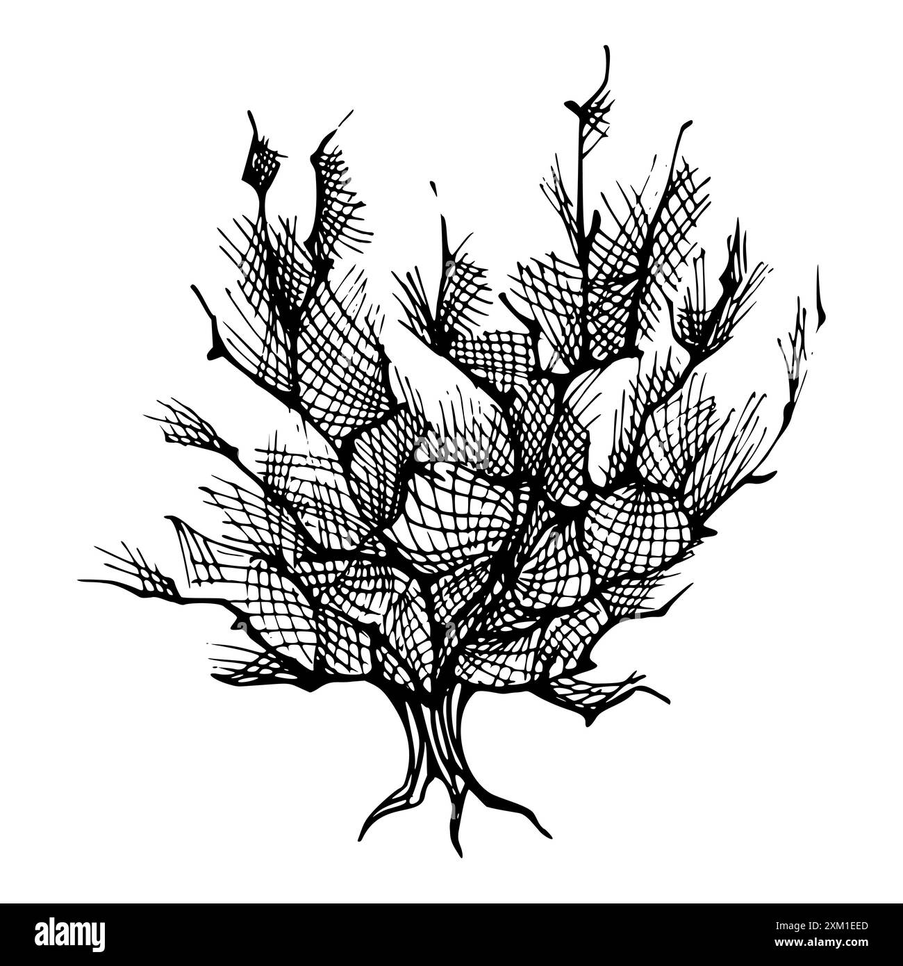 Coral sponge polyp Marine life, sea ocean underwater creatures shells ...