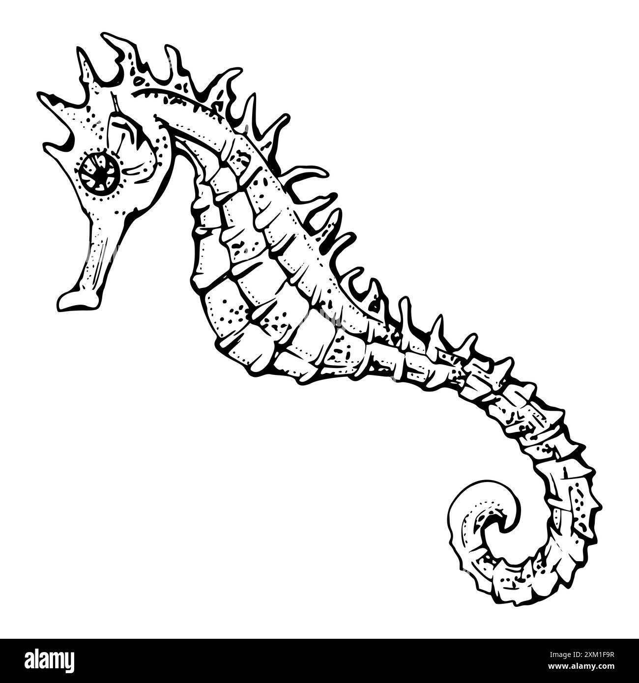 Seahorse coastal fish Marine life, sea ocean underwater creature animal ...