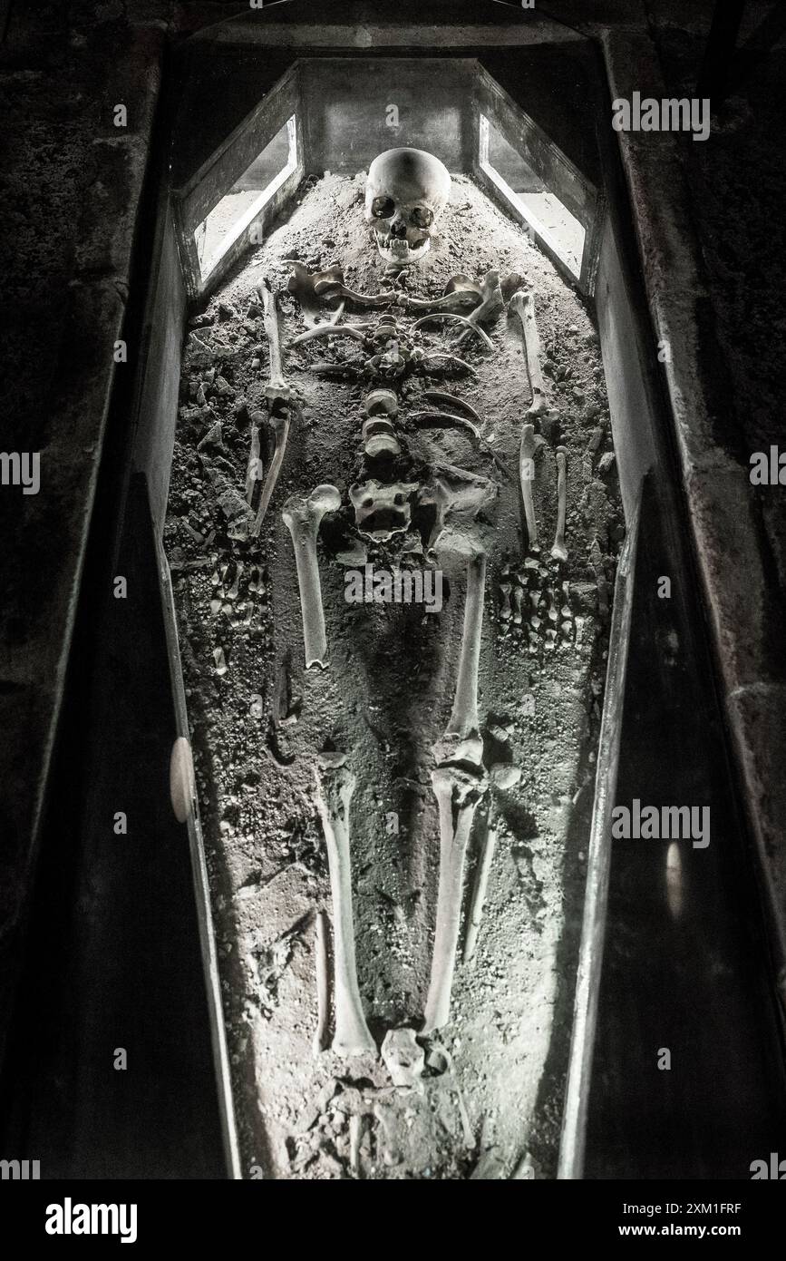 Skeleton in the burial ground in a crypt, Antigua, Guatemala, Central ...