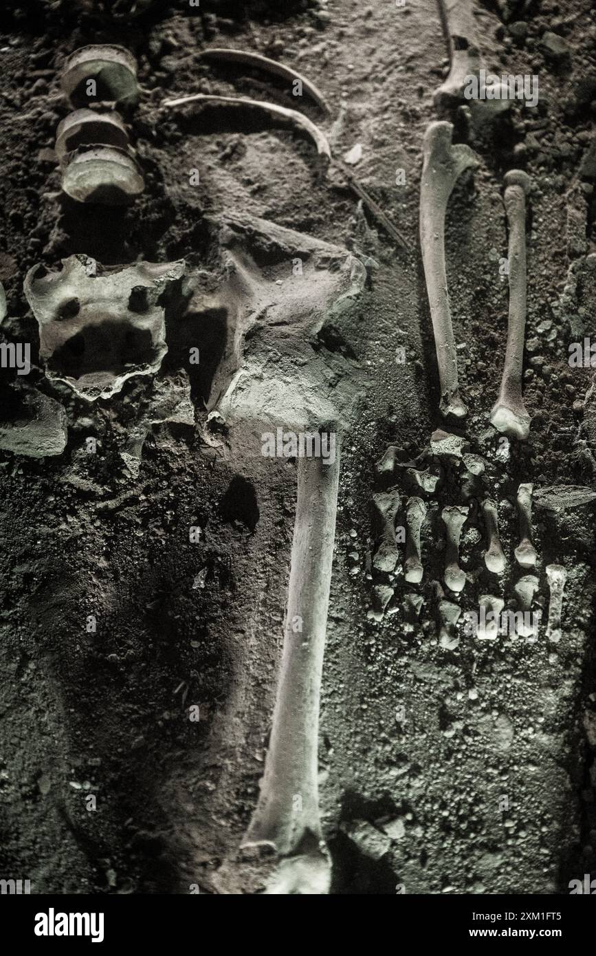 Skeleton in the burial ground in a crypt, Antigua, Guatemala, Central ...