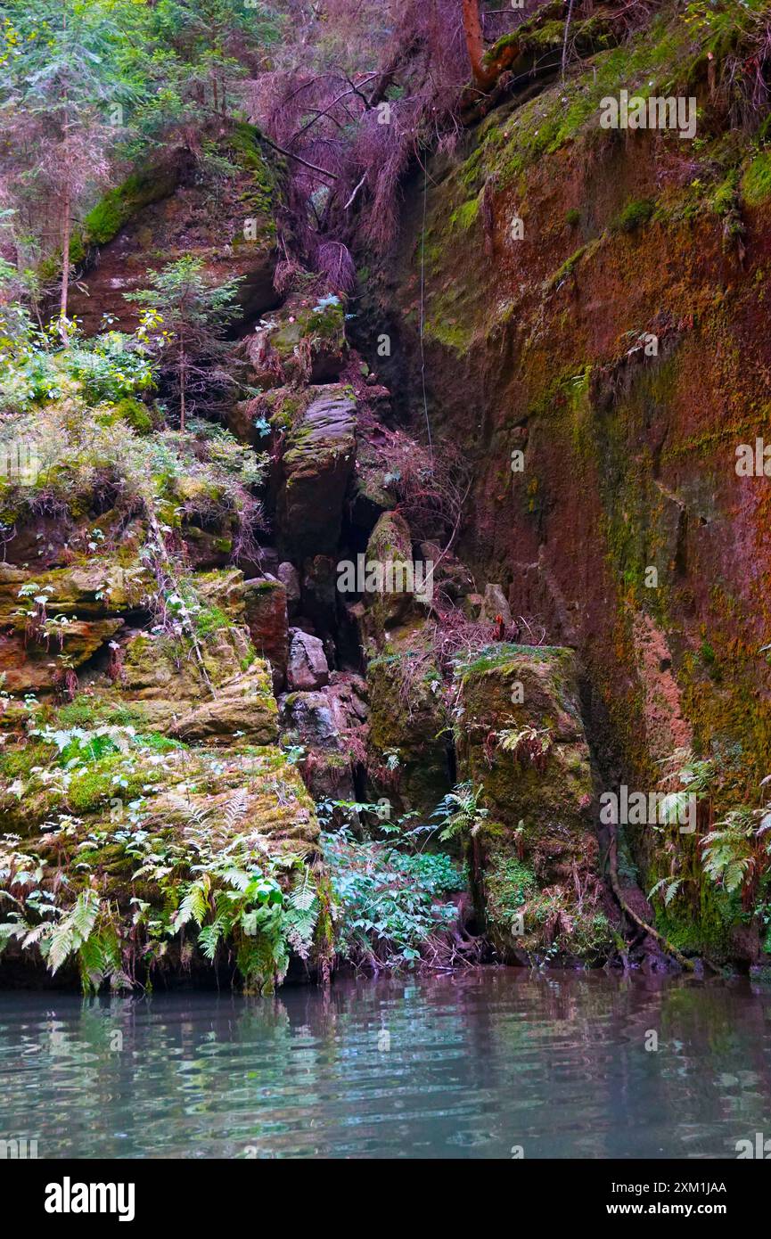 kamenice river from the small ship in the summer Stock Photo - Alamy