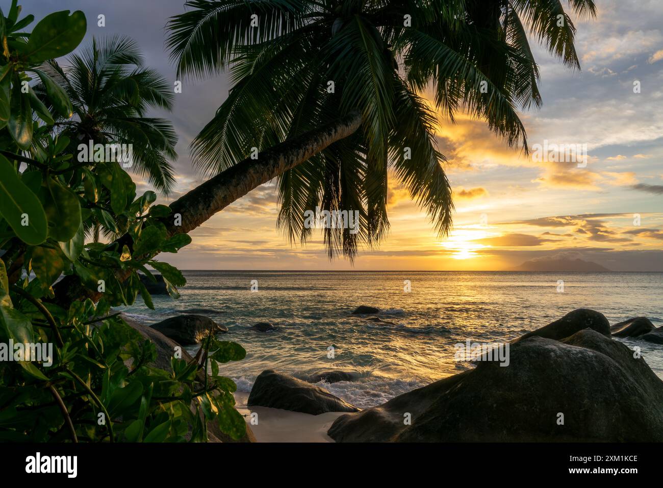 Perfect sunset landscape on a scenic tropical sand beach with palm ...