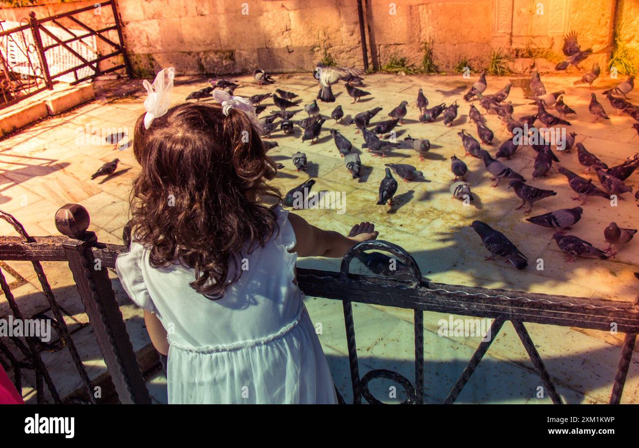 Little kid amid Lovely pigeon birds feed in an urban environment Stock ...