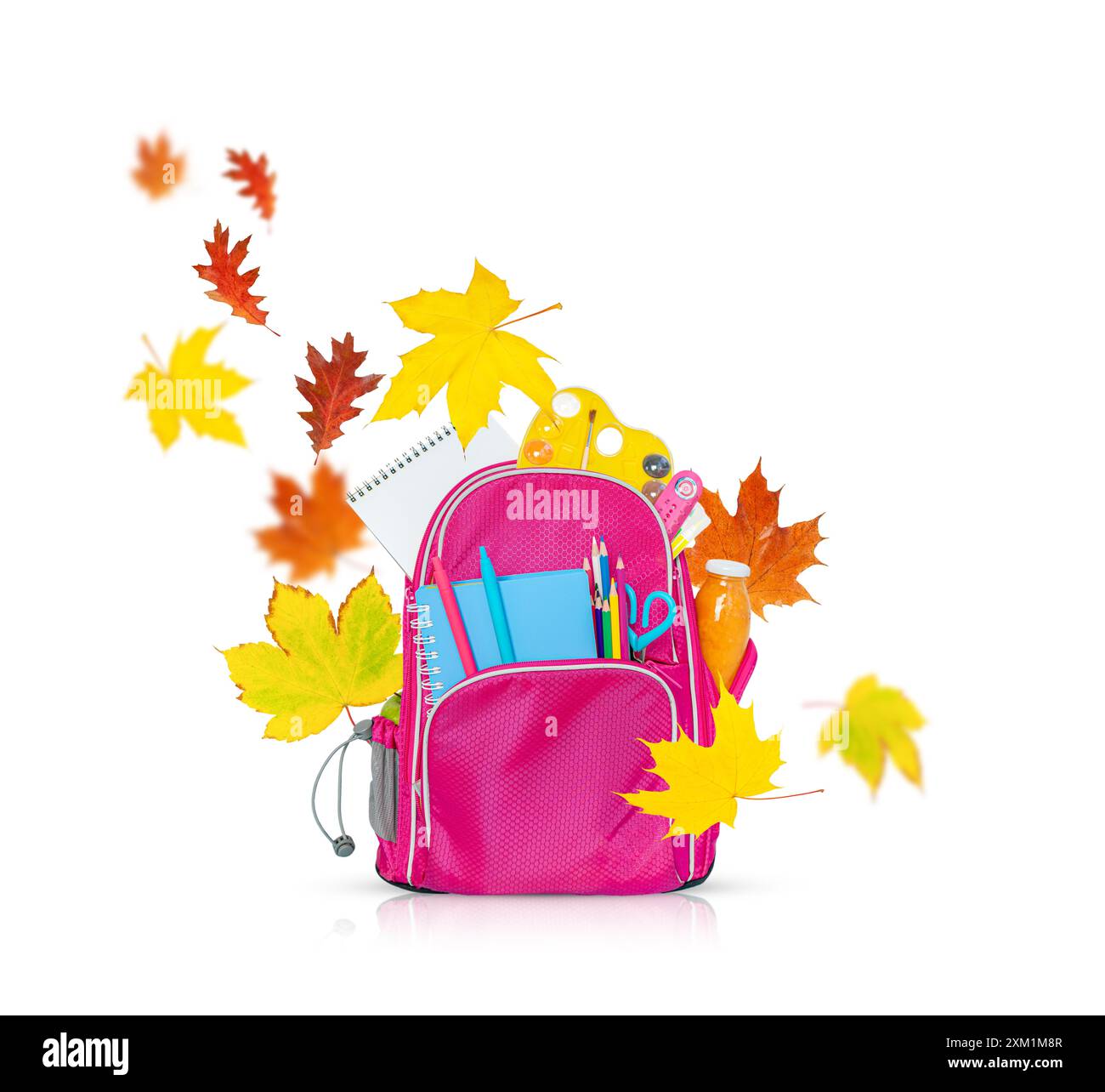 Pink backpack with school supplies and flying autumn leaves isolated on ...