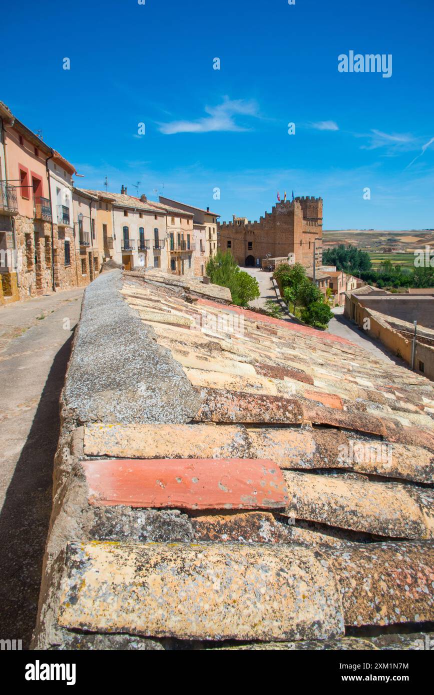 Tejas de leon hi-res stock photography and images - Alamy