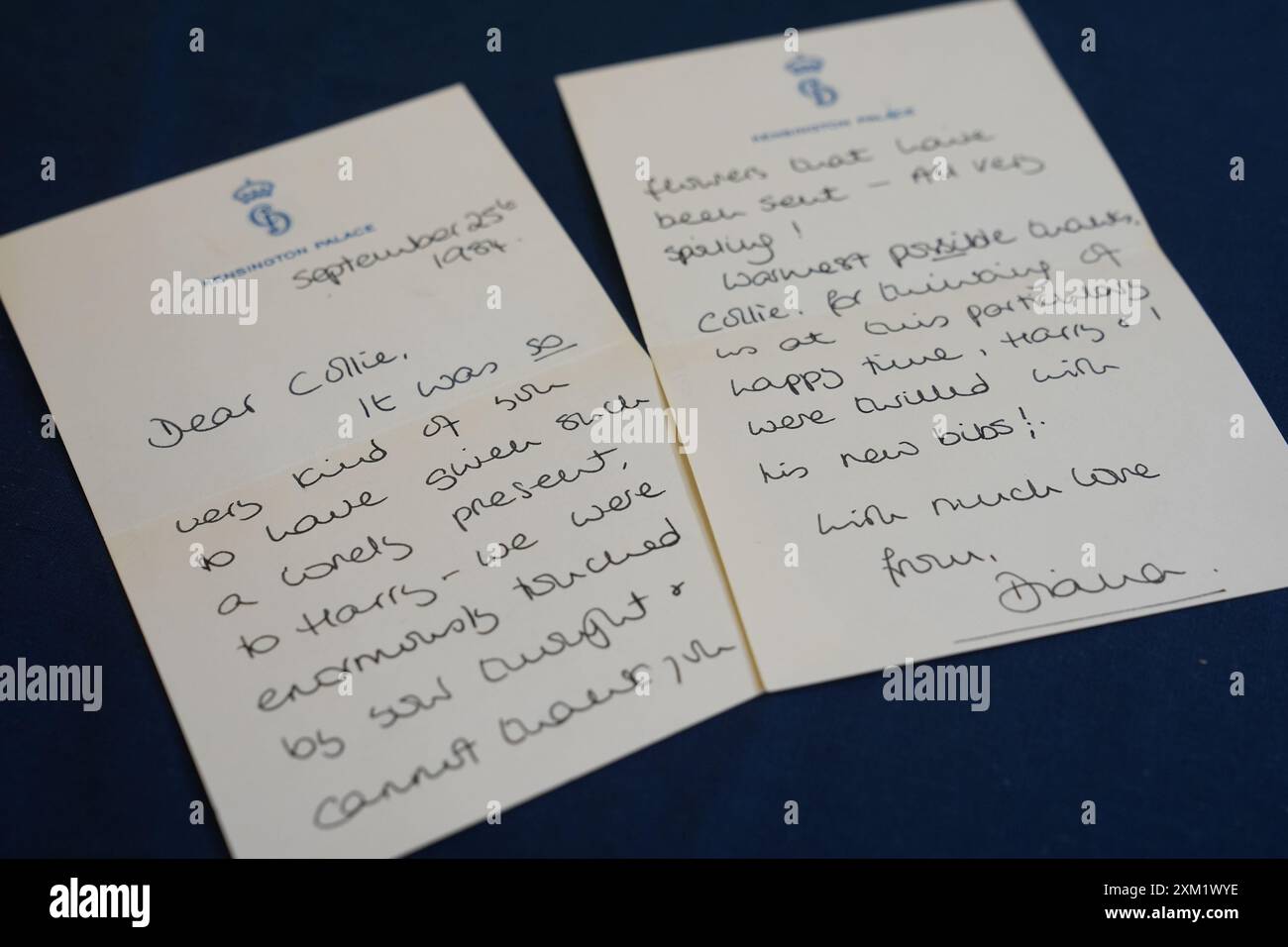A series of handwritten letters sent by Diana, Princess of Wales, to ...