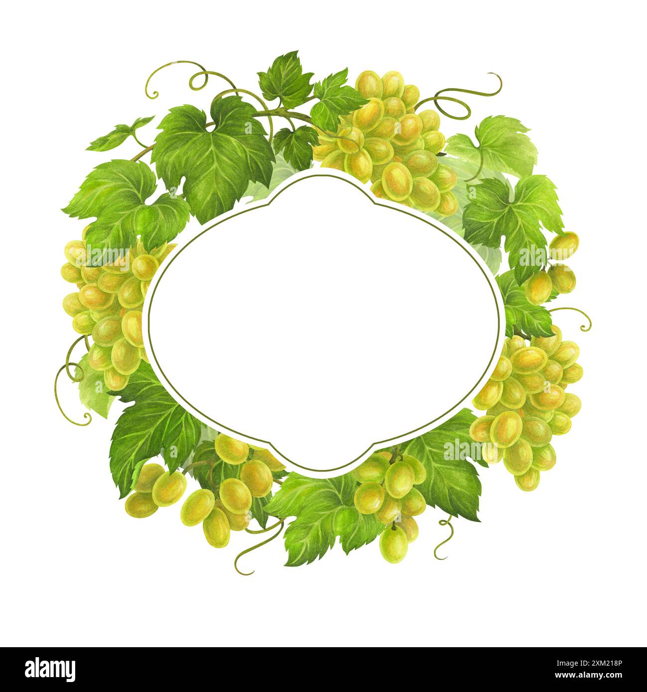 Isolated watercolor wreath of grapes, leaves and tendrils with frame ...