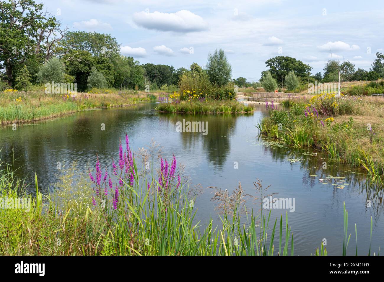 Knowle Park, a new country park in Cranleigh, Surrey, England, UK Stock ...