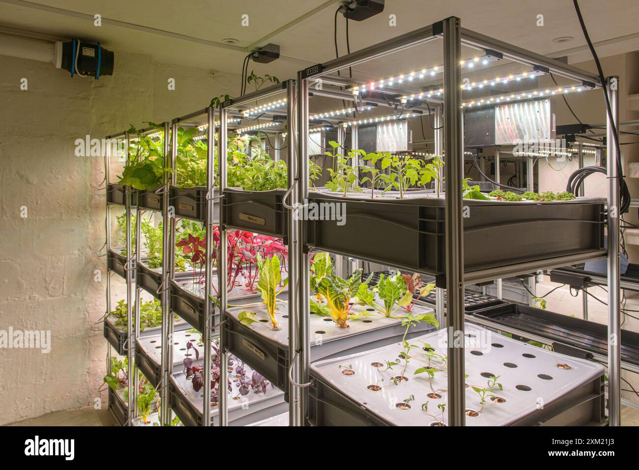 Hydroponics farming system hi-res stock photography and images - Alamy