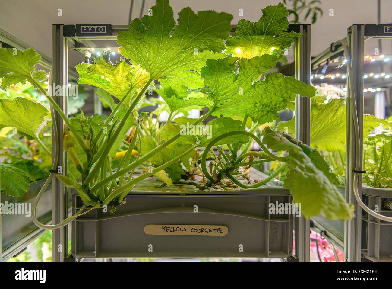 Hydroponics farming system hi-res stock photography and images - Alamy