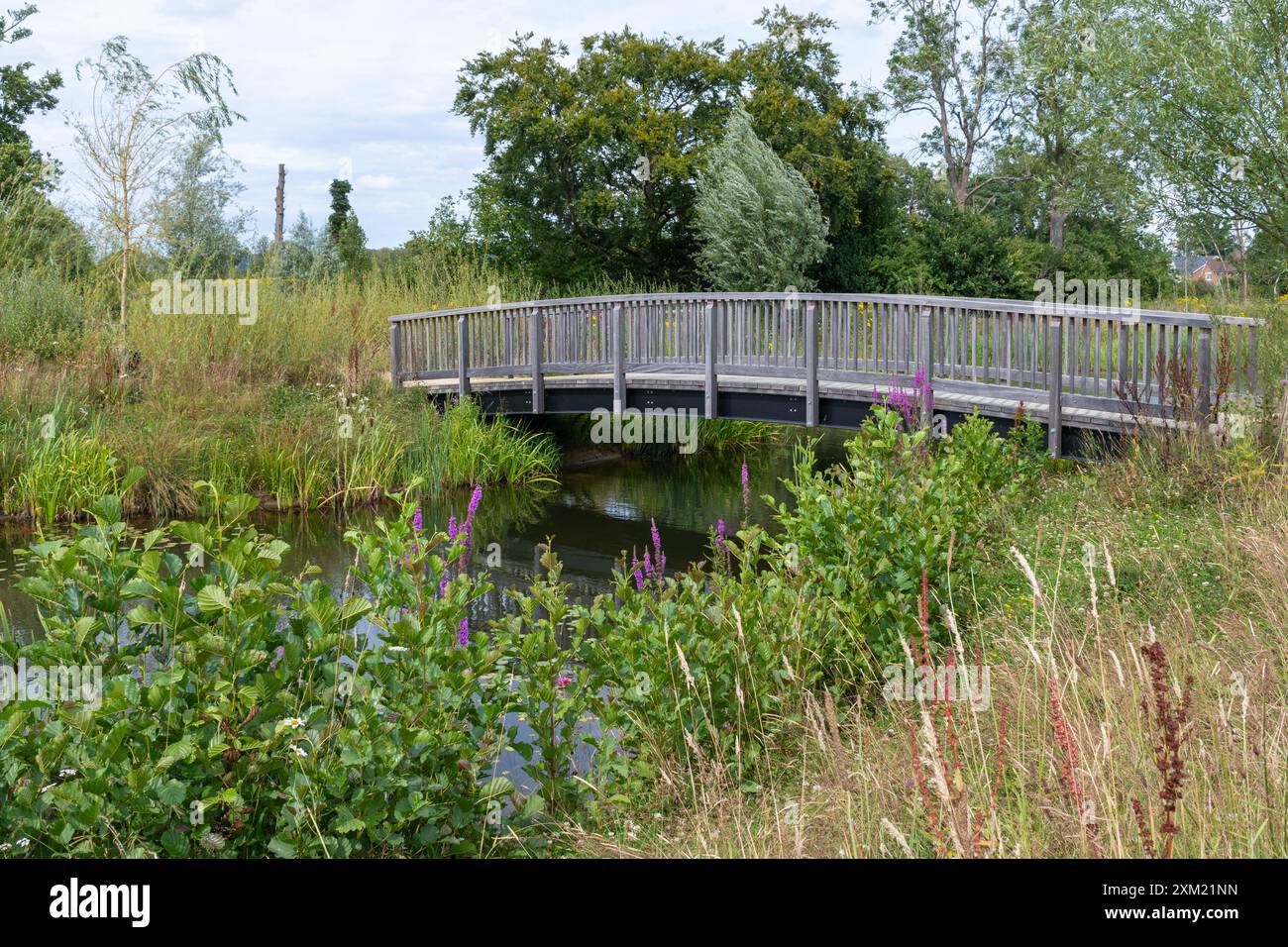 Knowle Park, a new country park in Cranleigh, Surrey, England, UK Stock ...