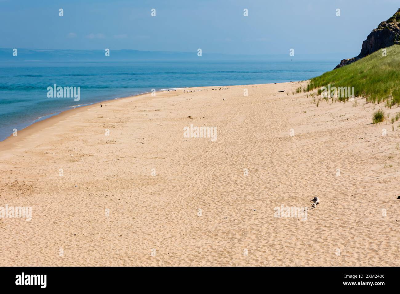 Large, empty sandy beach and calm ocean Stock Photo - Alamy
