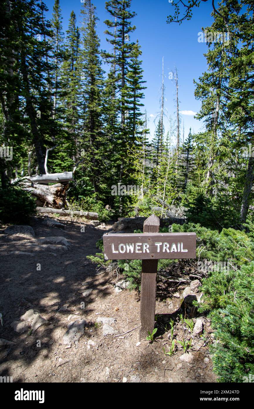 Lower trail at Cedar Breaks, Cedar Breaks National Monument, Dixie ...