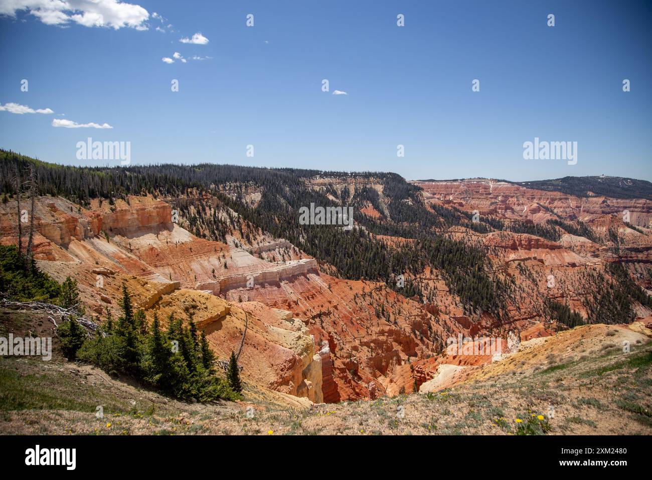 The Pink Cliffs at Cedar Breaks National Monument, Dixie National ...