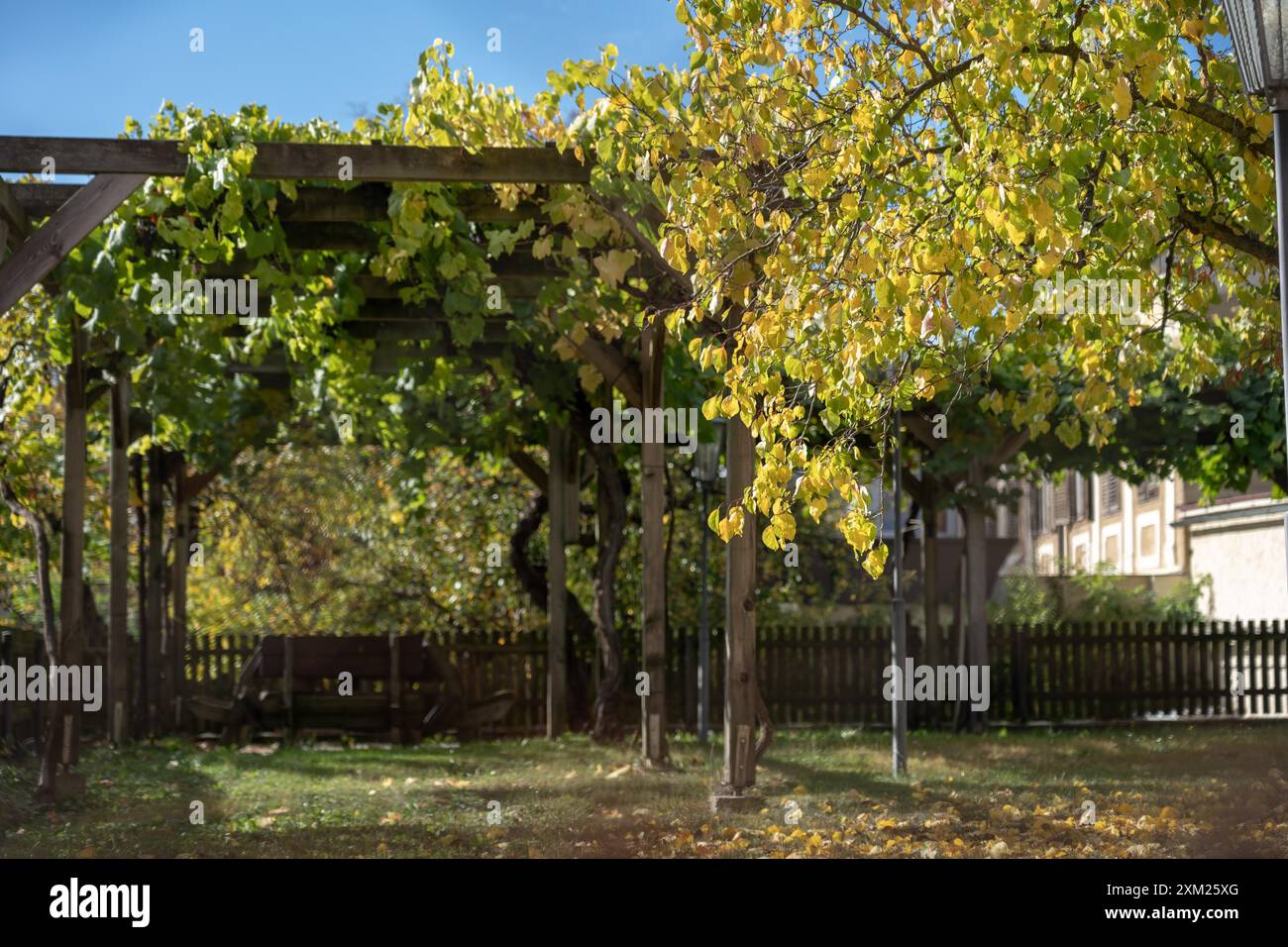Pergola austria hi-res stock photography and images - Alamy