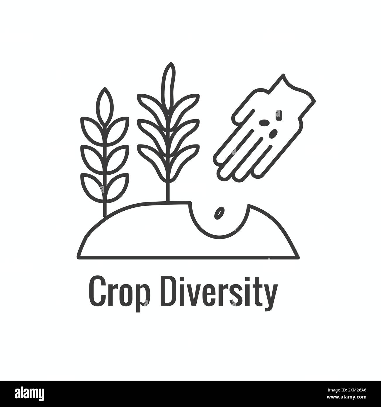 Sustainable Farming Icon Set with Maximizing Soil Coverage and ...